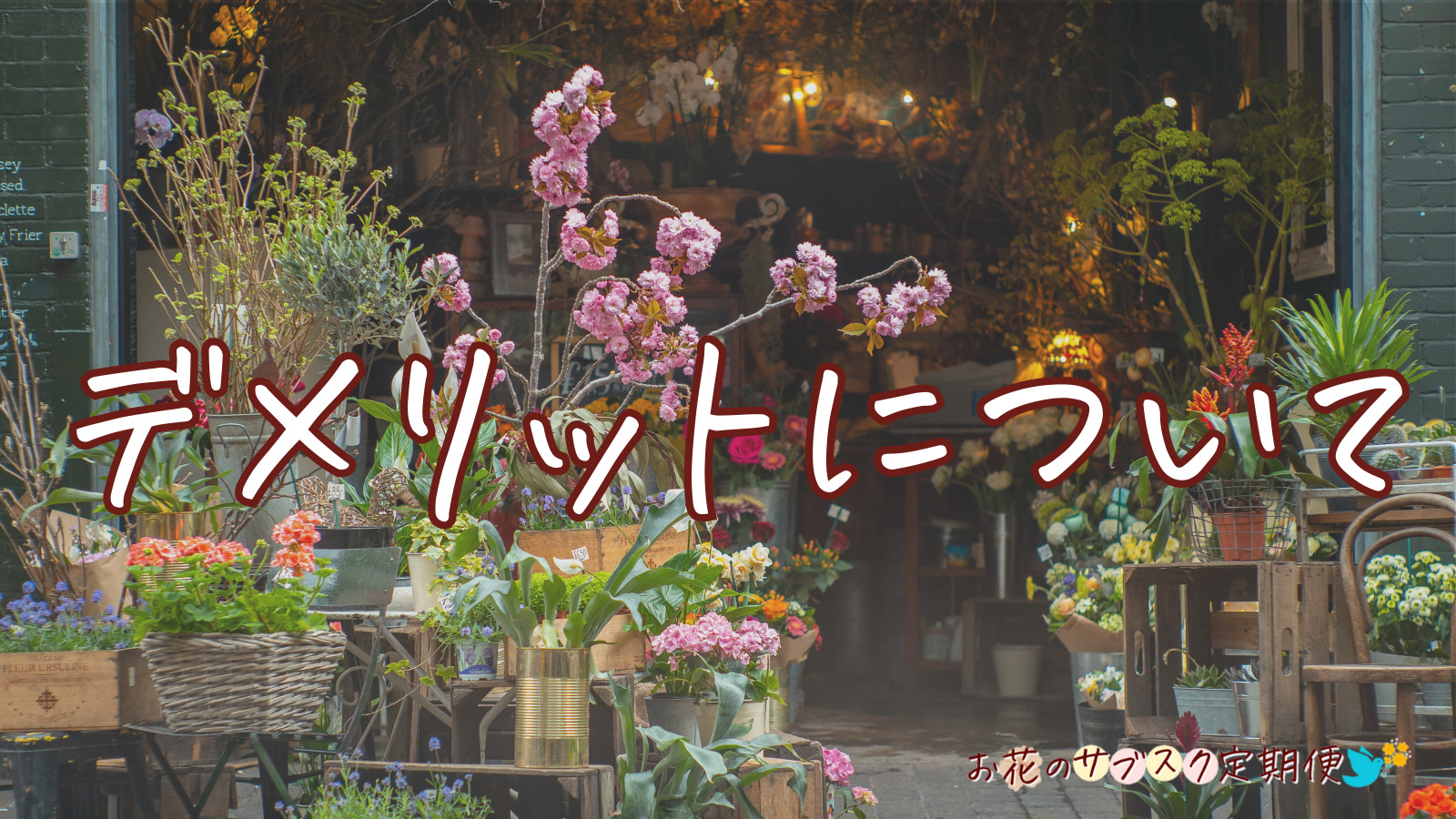 【マ・フルールの口コミ・評判】ma fleur花サブスク定期便はどんな花が届く？申し込みや解約方法伝授！ | お花のサブスク定期便