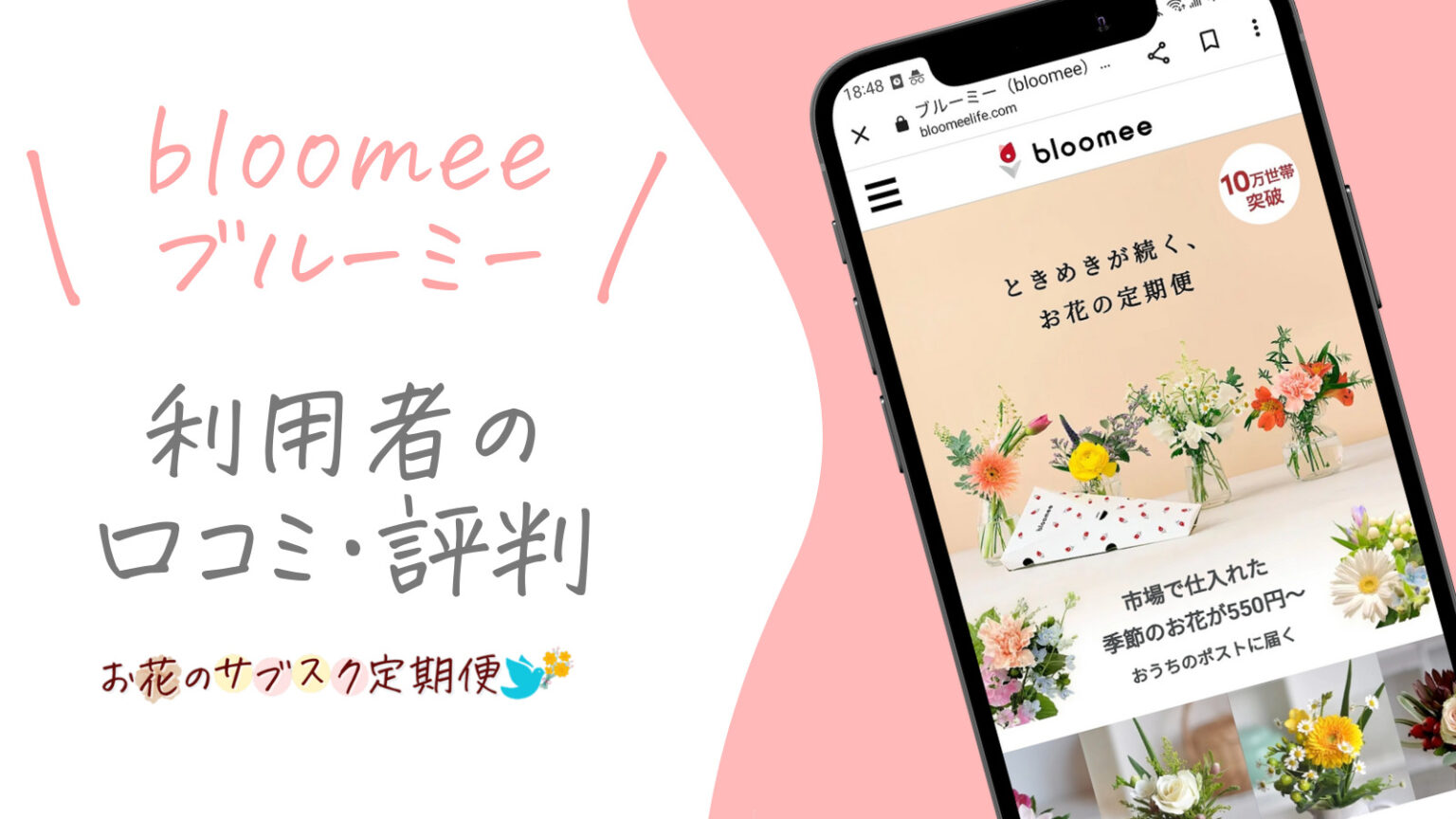 【口コミ・評判は悪い？】ブルーミー（bloomee）の花サブスクはどんな花が届く？申し込みや解約方法伝授！【お花の定期便体験談】 | お花のサブスク定期便