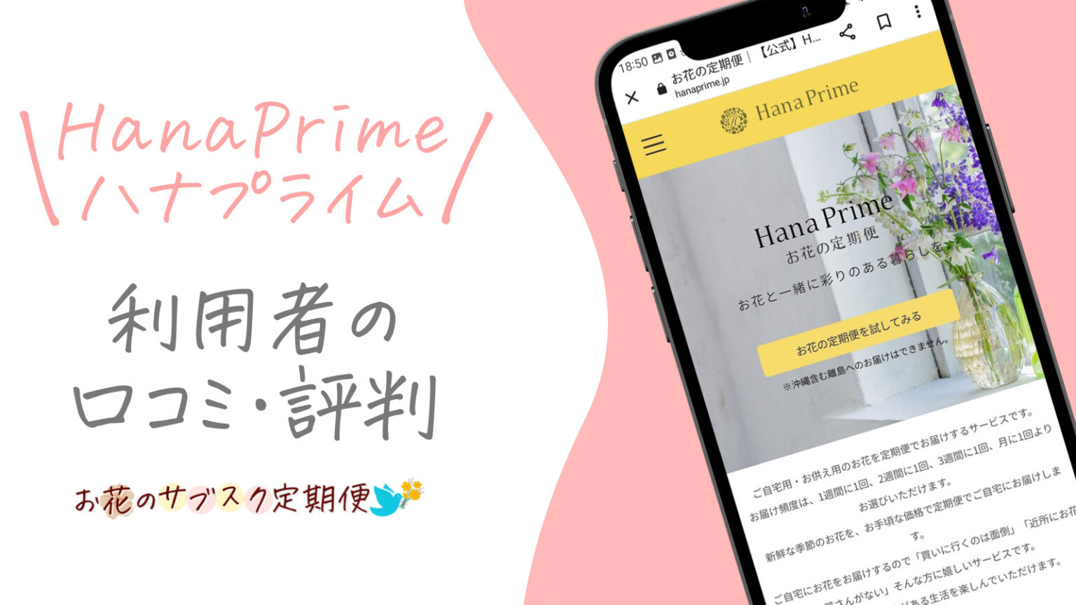 HanaPrime（ハナプライム）の口コミや評判、胡蝶蘭などどんな花が届く？申し込みや解約方法！【お花のサブスク定期便】 | お花のサブスク定期便